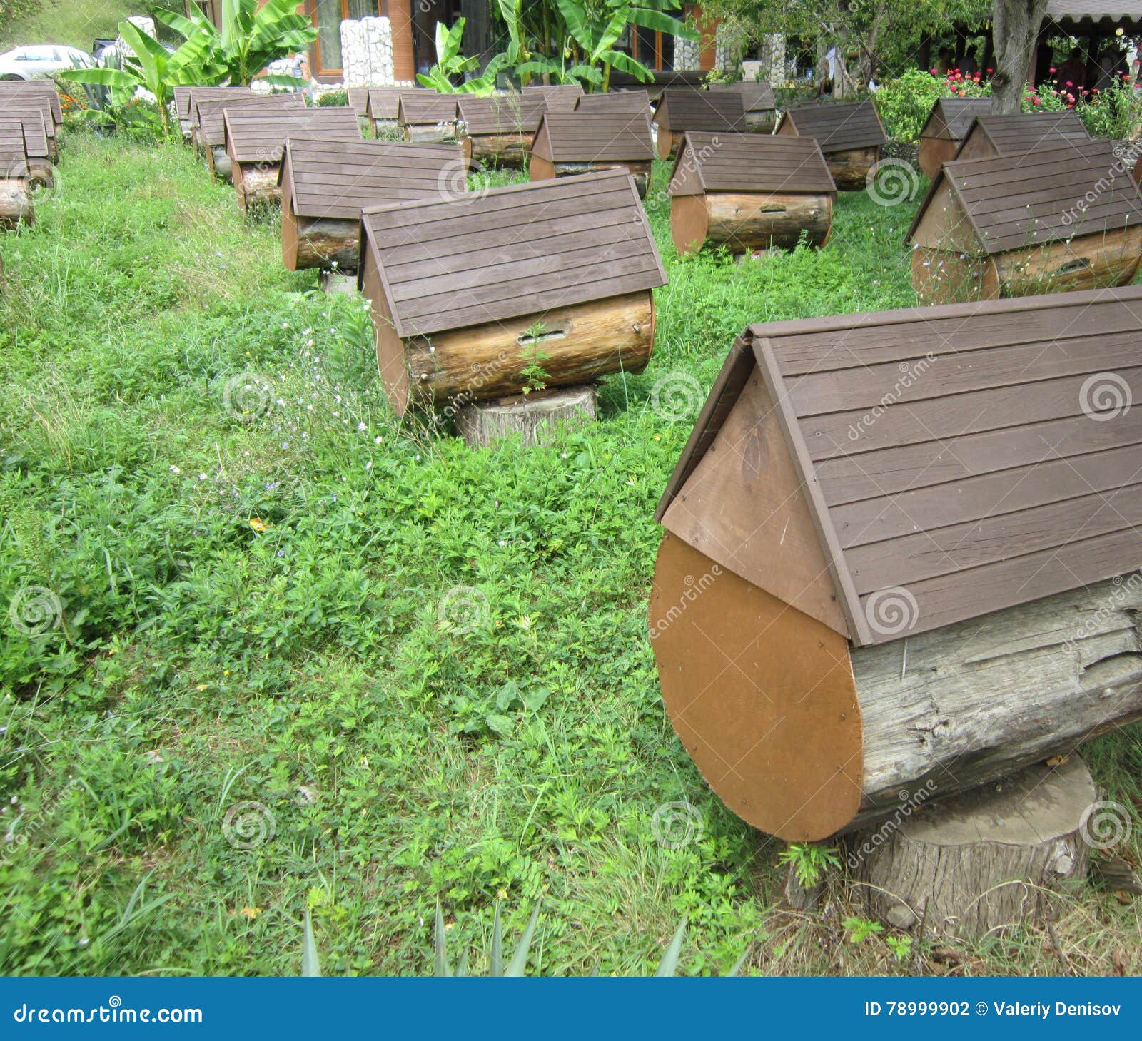 Beehives stock photo. Image of herb, beekeeping, lodge - 78999902