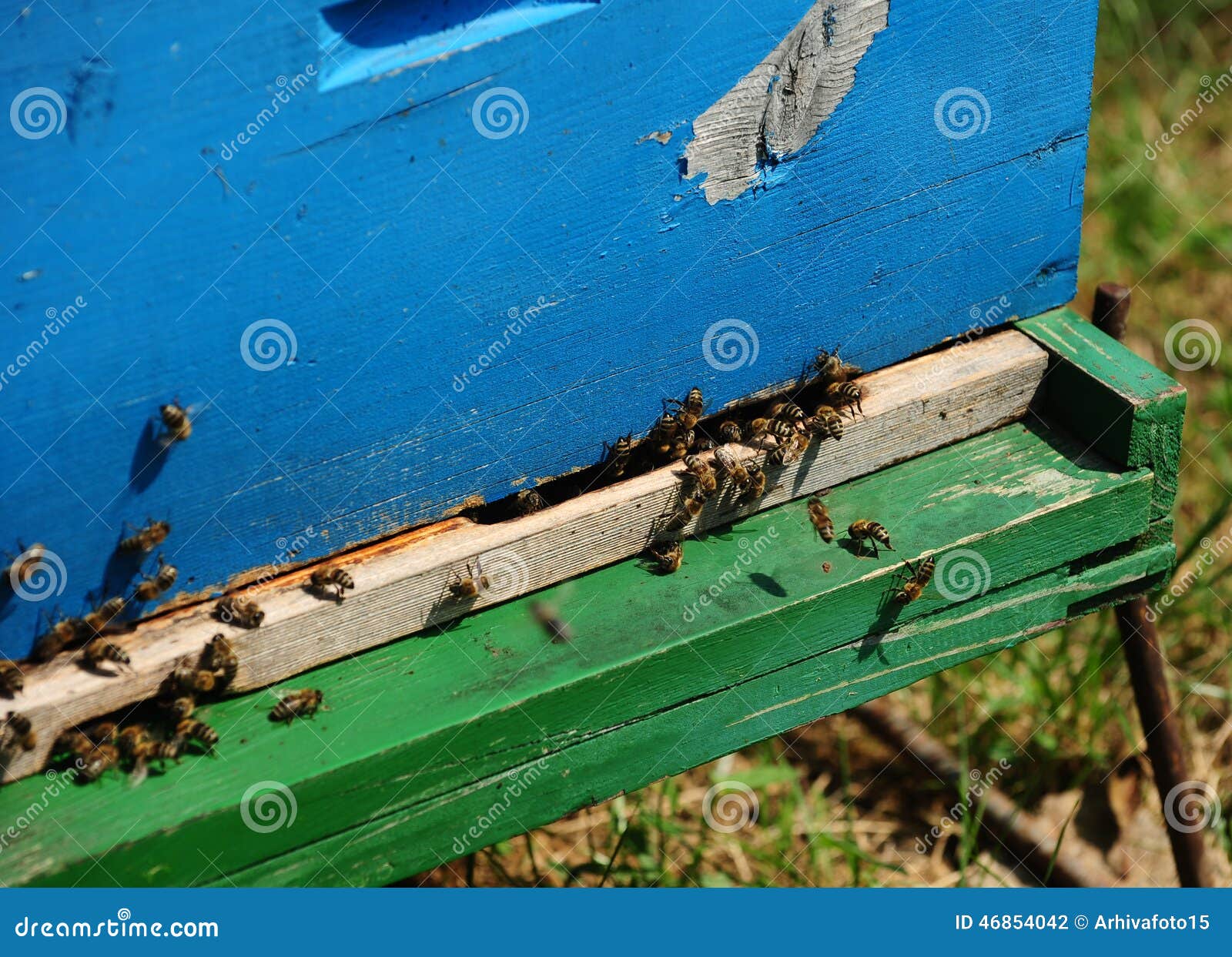 Beehives stock photo. Image of apiary, nature, outdoors - 46854042