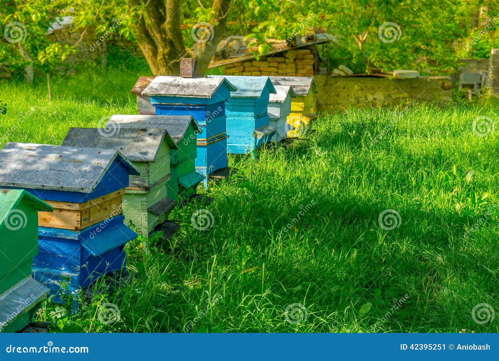 Beehives stock image. Image of pollen, bees, food, honey - 42395251