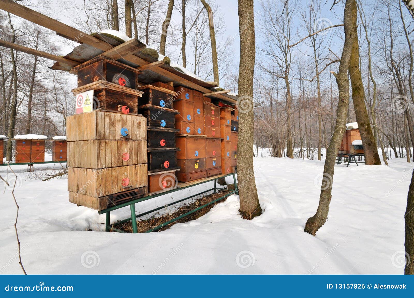 Beehouse stock photo. Image of honey, nature, long, house - 13157826