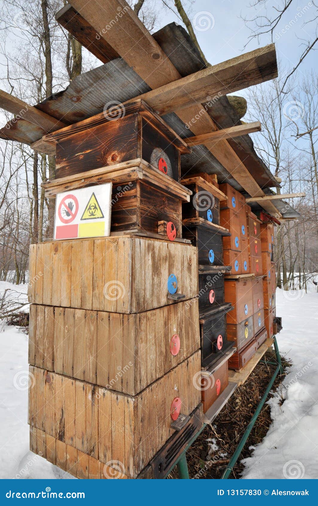 Beehouse stock photo. Image of hive, beekeeping, house - 13157830