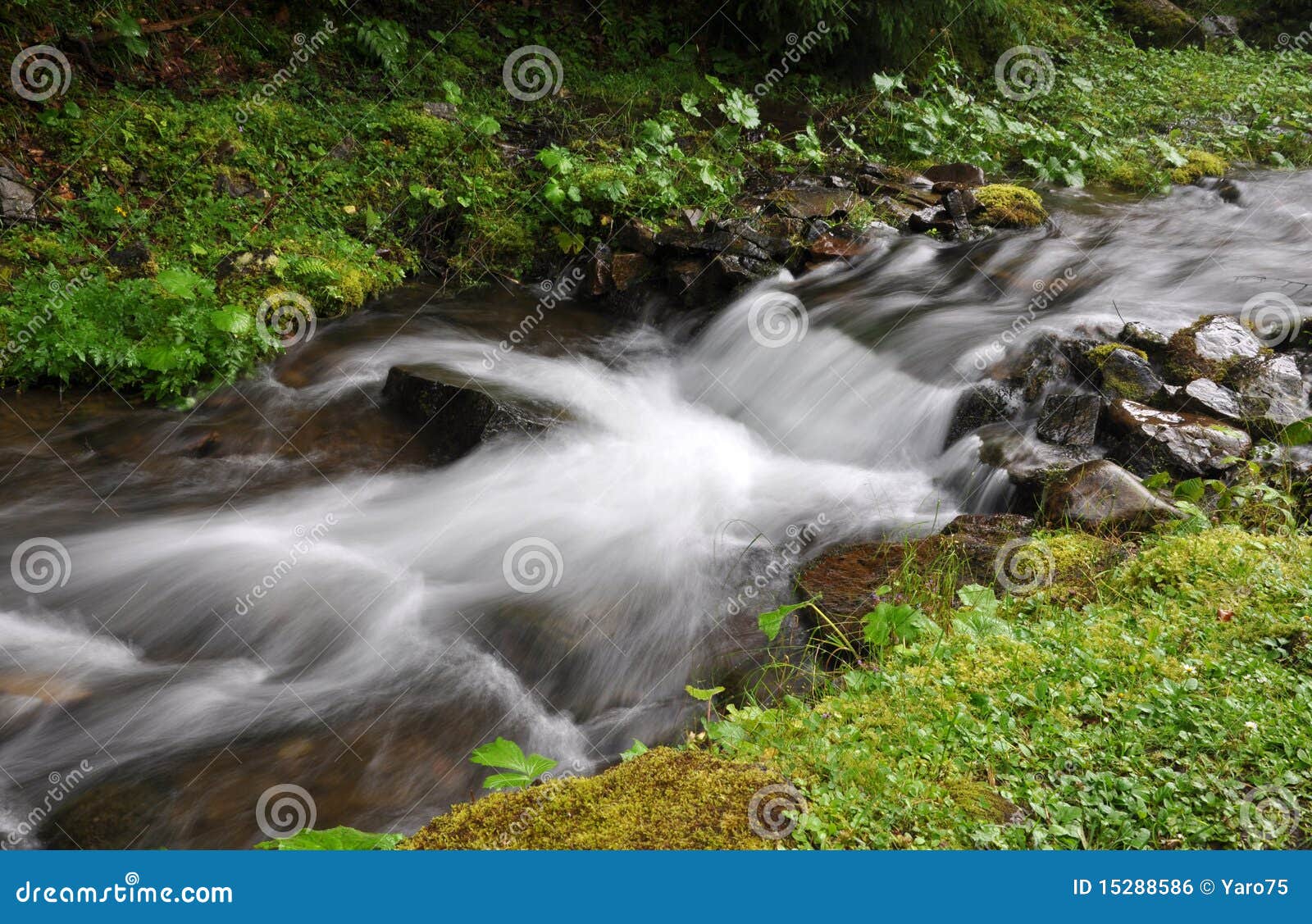 Beek stock foto. Image of groen, rots, energie, achtergronden - 15288586