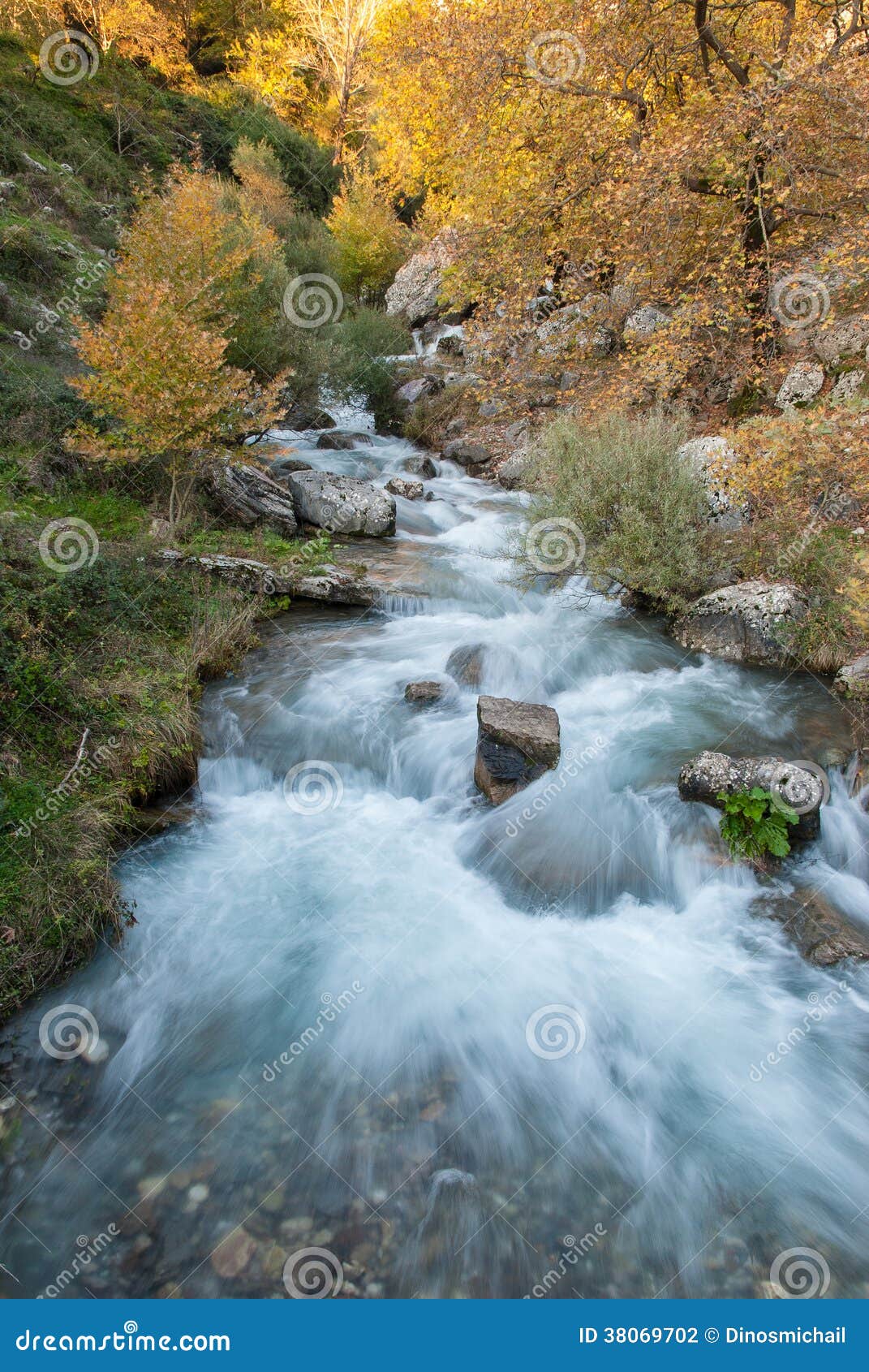 Beek in bos stock foto. Image of plons, stroom, kreek - 38069702