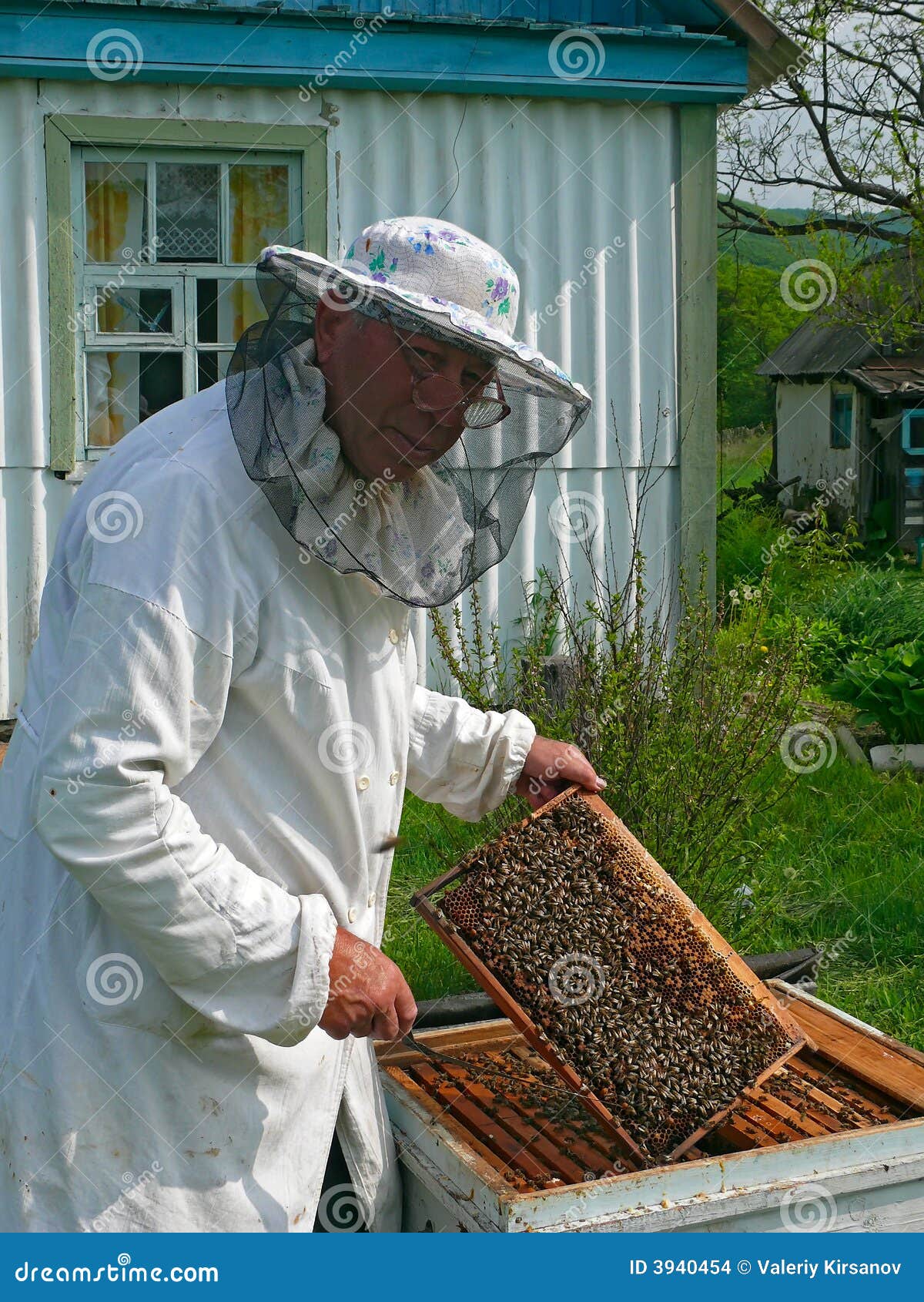 Beekeeper 14 stock photo. Image of beekeeper, bees, beeswax - 3940454