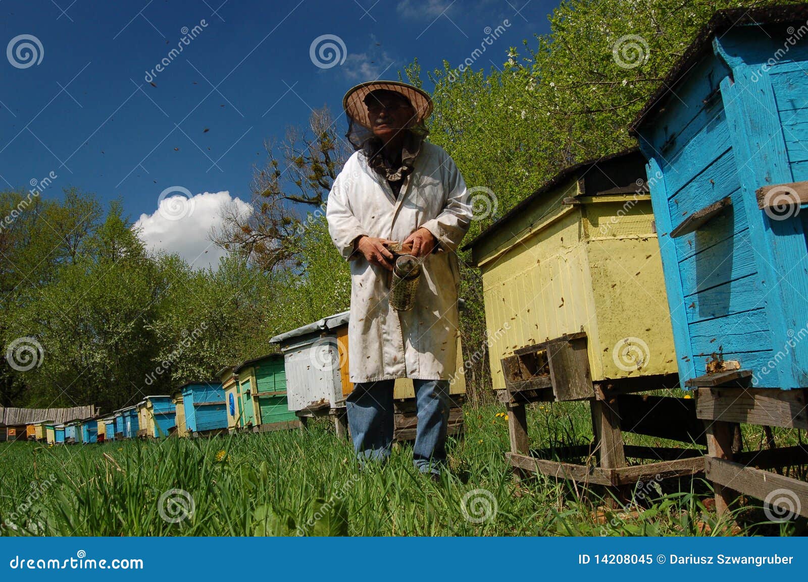 Beekeeper stock image. Image of dandelion, beehives, frame - 14208045