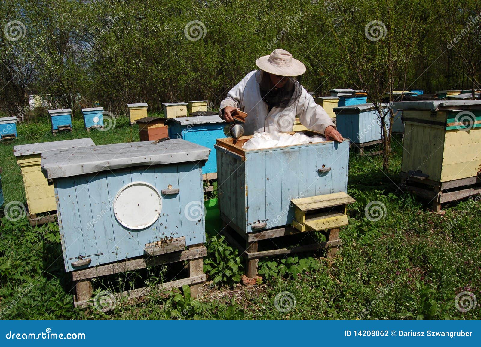 Beekeeper stock photo. Image of apiculture, bush, grass - 14208062