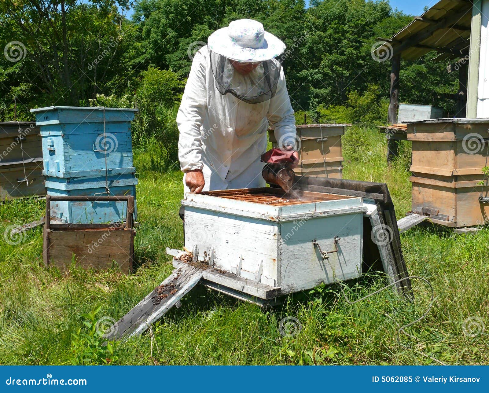 Beekeeper 24 Picture. Image: 5062085