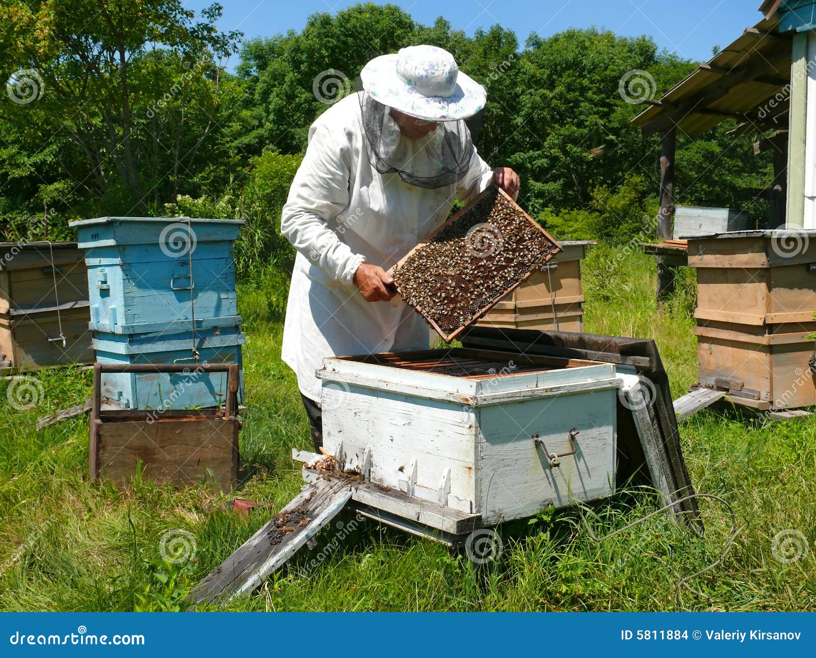 Beekeeper 25 stock photo. Image of apiculture, gardening - 5811884