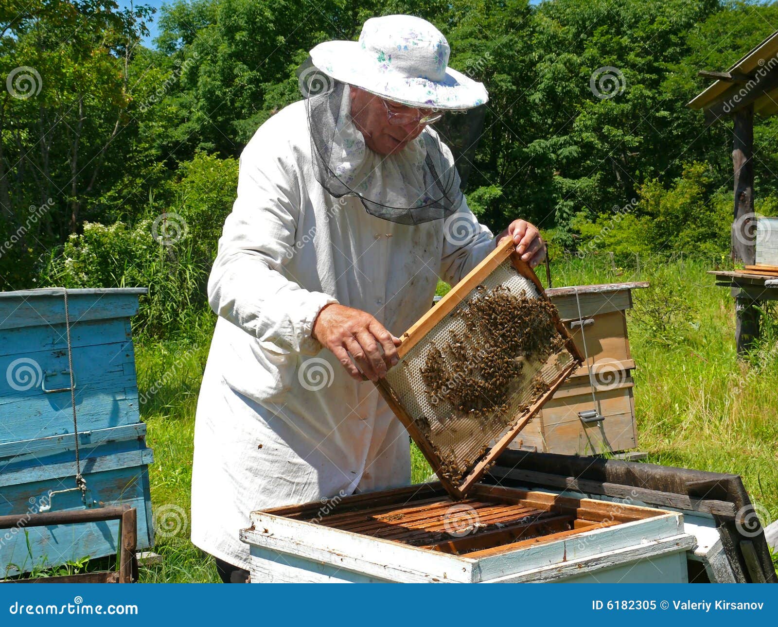 Beekeeper 26 stock image. Image of colony, beekeeping - 6182305
