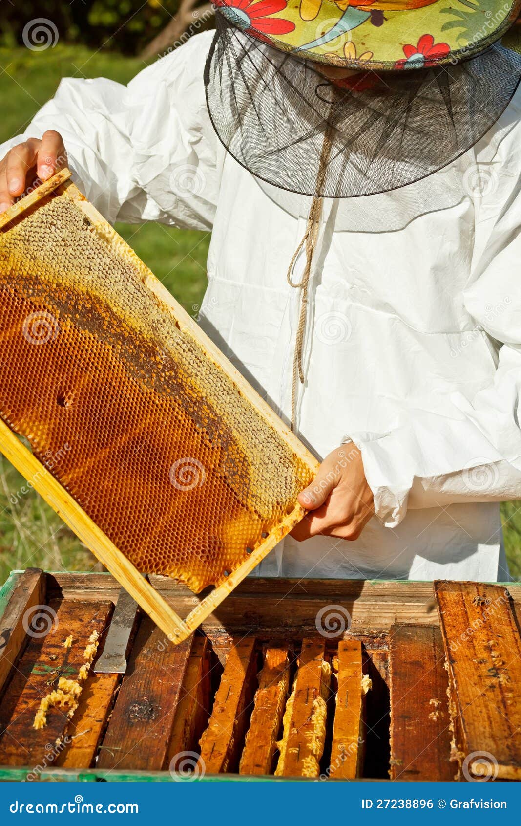 Beekeeper stock photo. Image of cheerful, pollen, pollinic - 27238896