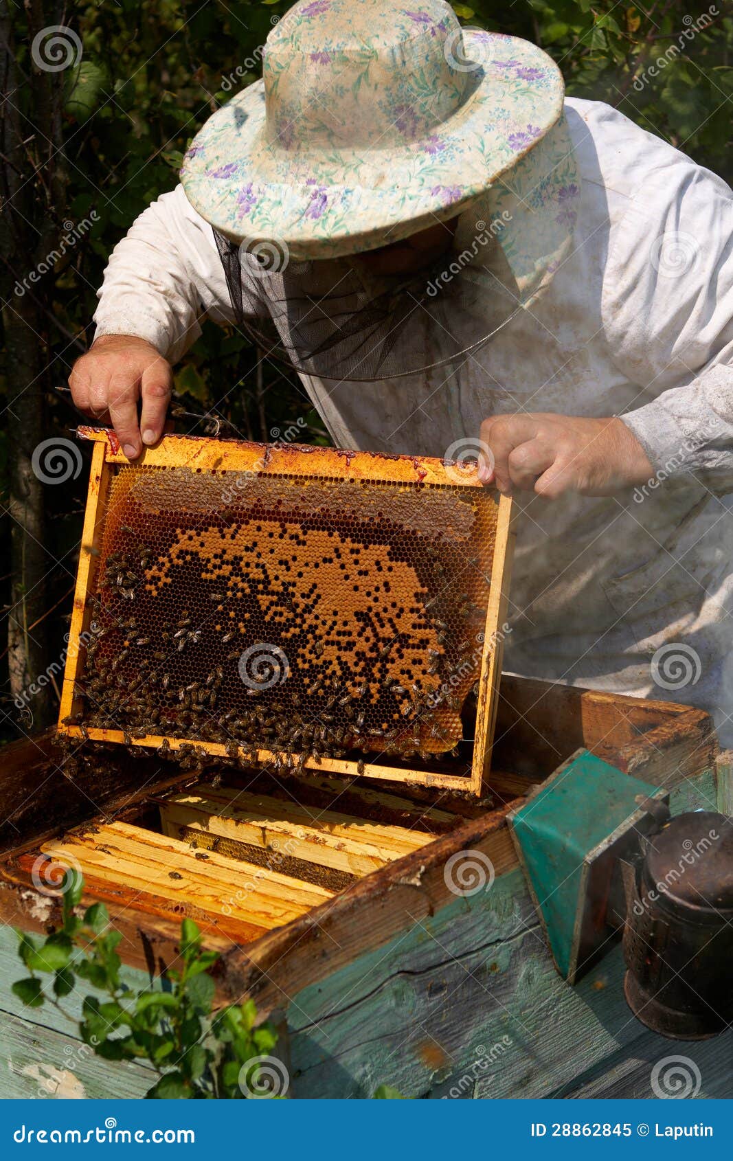Beekeeper stock image. Image of home, nature, hive, beehive - 28862845