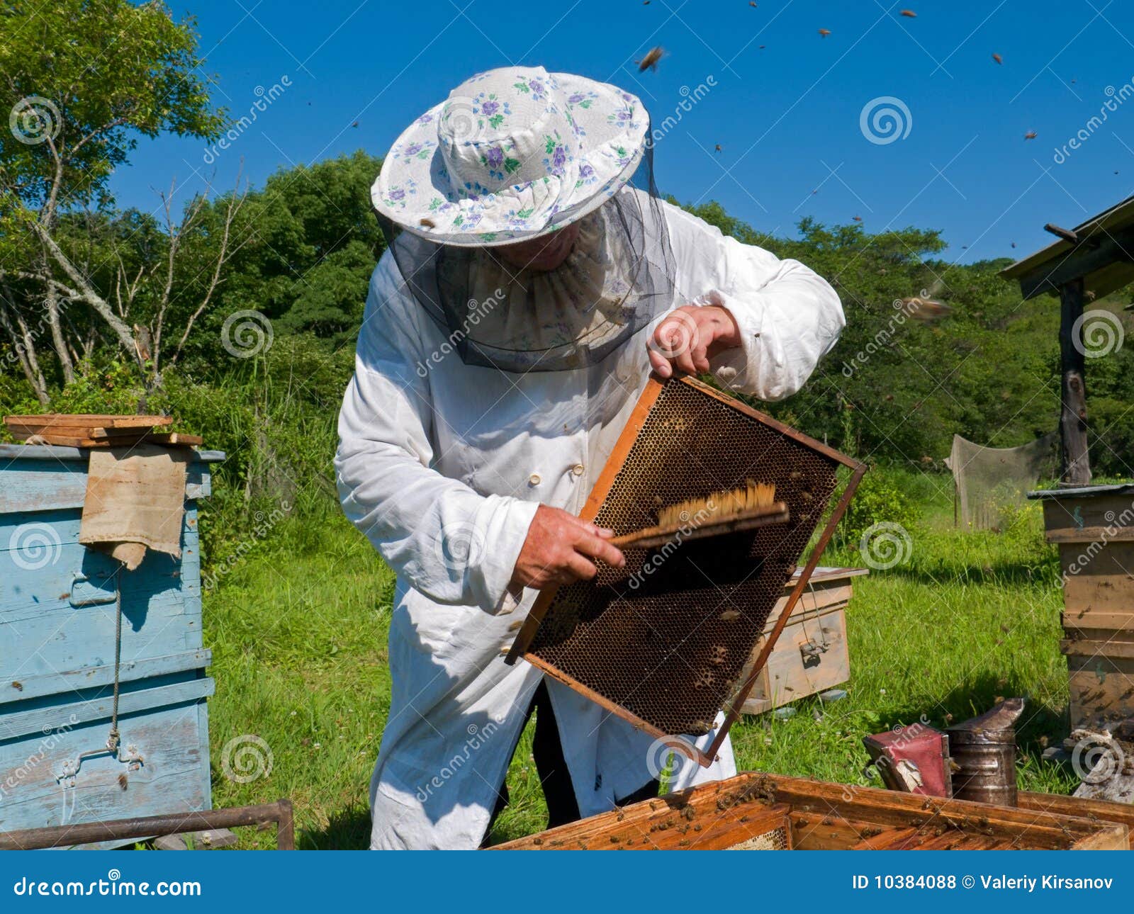 Beekeeper 30 stock photo. Image of honey, apis, honeycomb - 10384088