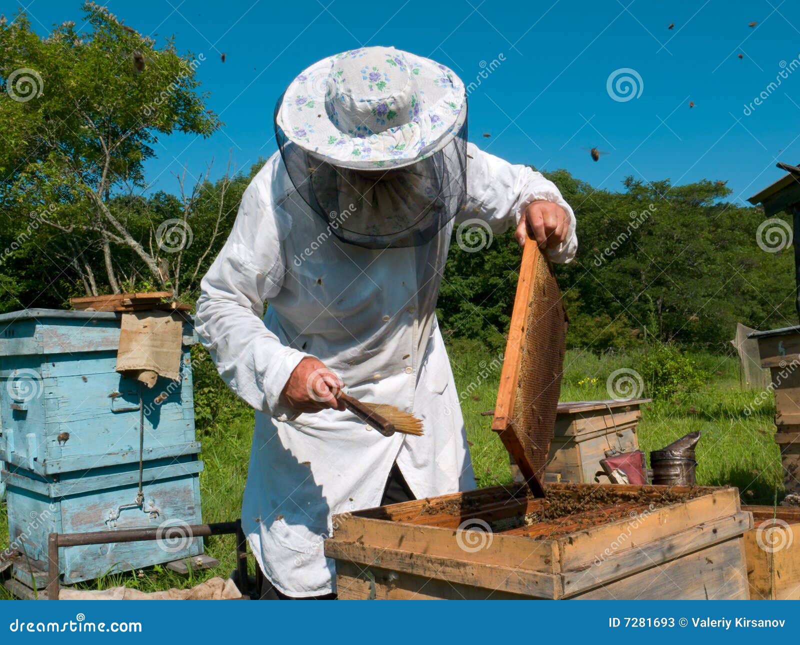 Beekeeper 31 stock image. Image of frame, hiver, cluster - 7281693
