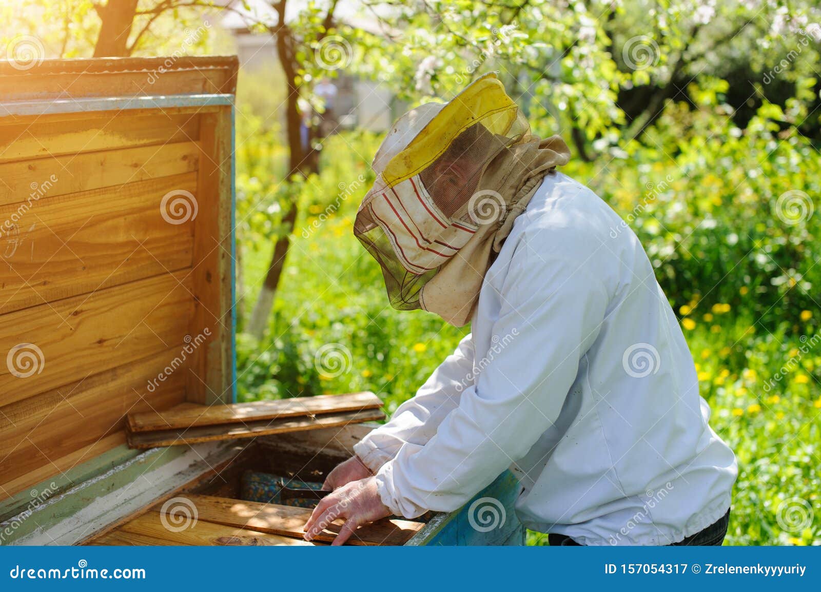 Beekeeper stock image. Image of beeswax, hobby, apiarist - 157054317