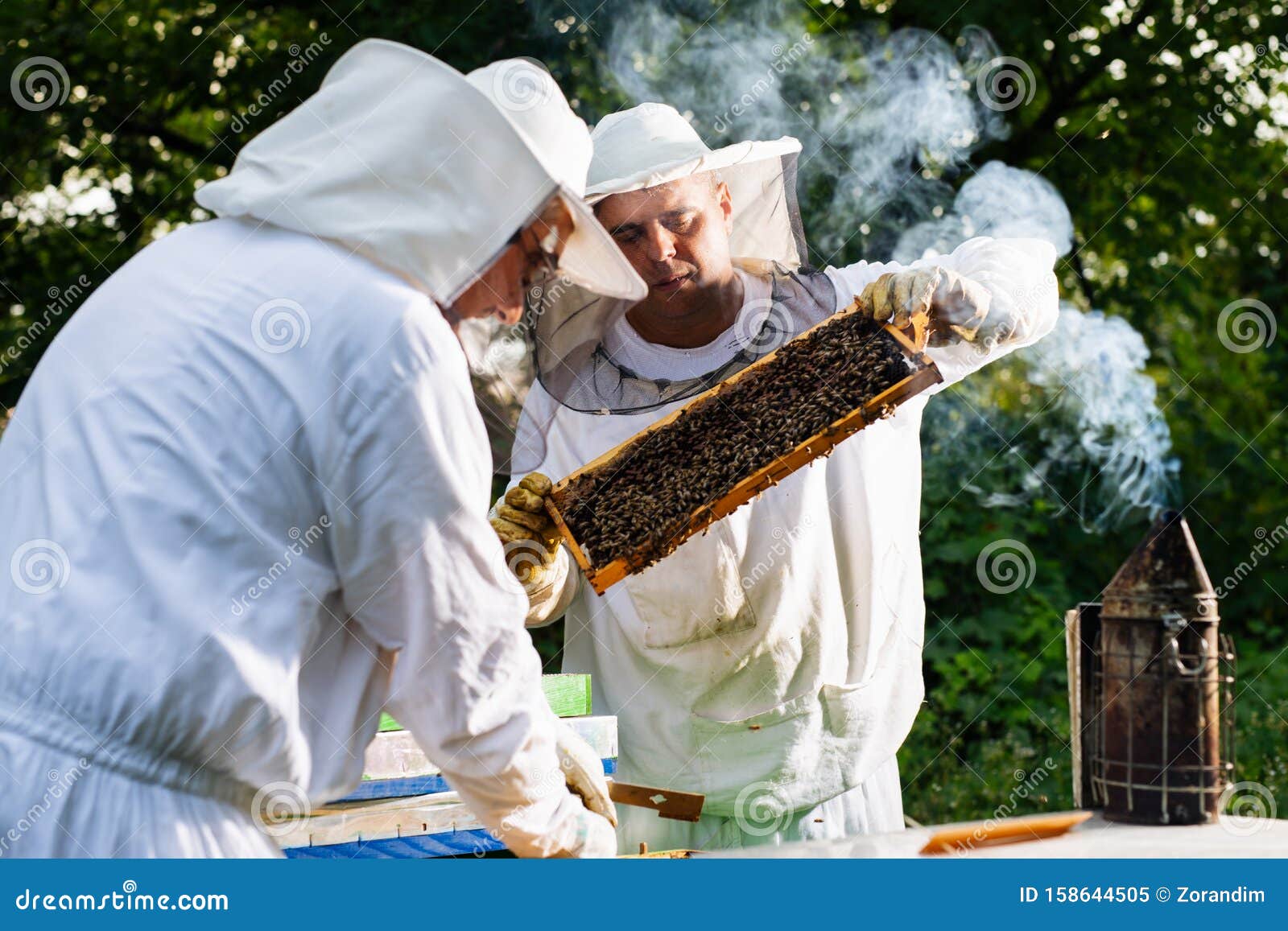 Beekeeper on Apiary. Beekeeper is Working with Bees and Beehives on the ... Beekeeper on Apiary. Beekeeper is Working with Bees and Beehives on the ...
