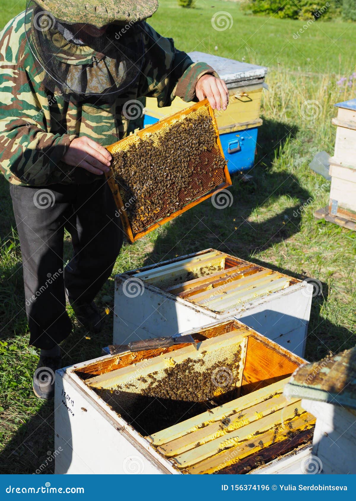 Russia, Saratov - August, 2019. Beekeeper on Apiary. Beekeeper is ... Russia, Saratov - August, 2019. Beekeeper on Apiary. Beekeeper is ...