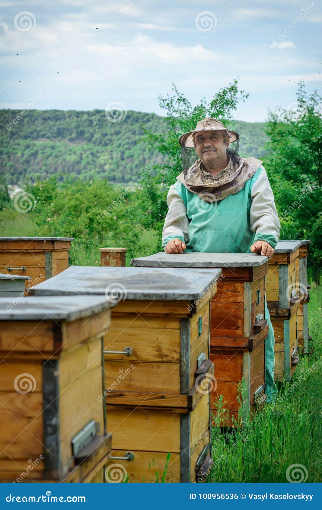 Beekeeper in an Apiary Near the Hives. Apiculture. Apiary. Stock Photo ...