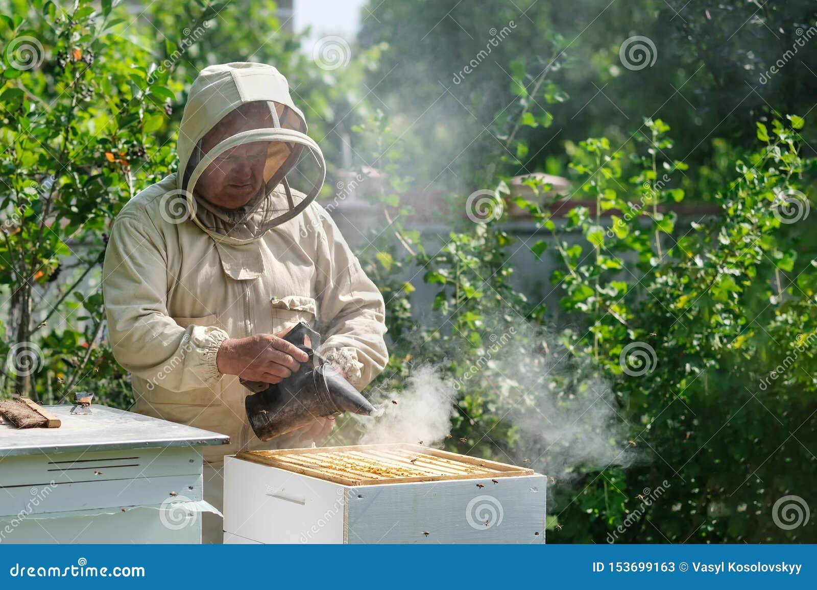 Beekeeper, Beehives And Honey Milking Tent Royalty-Free Stock ...