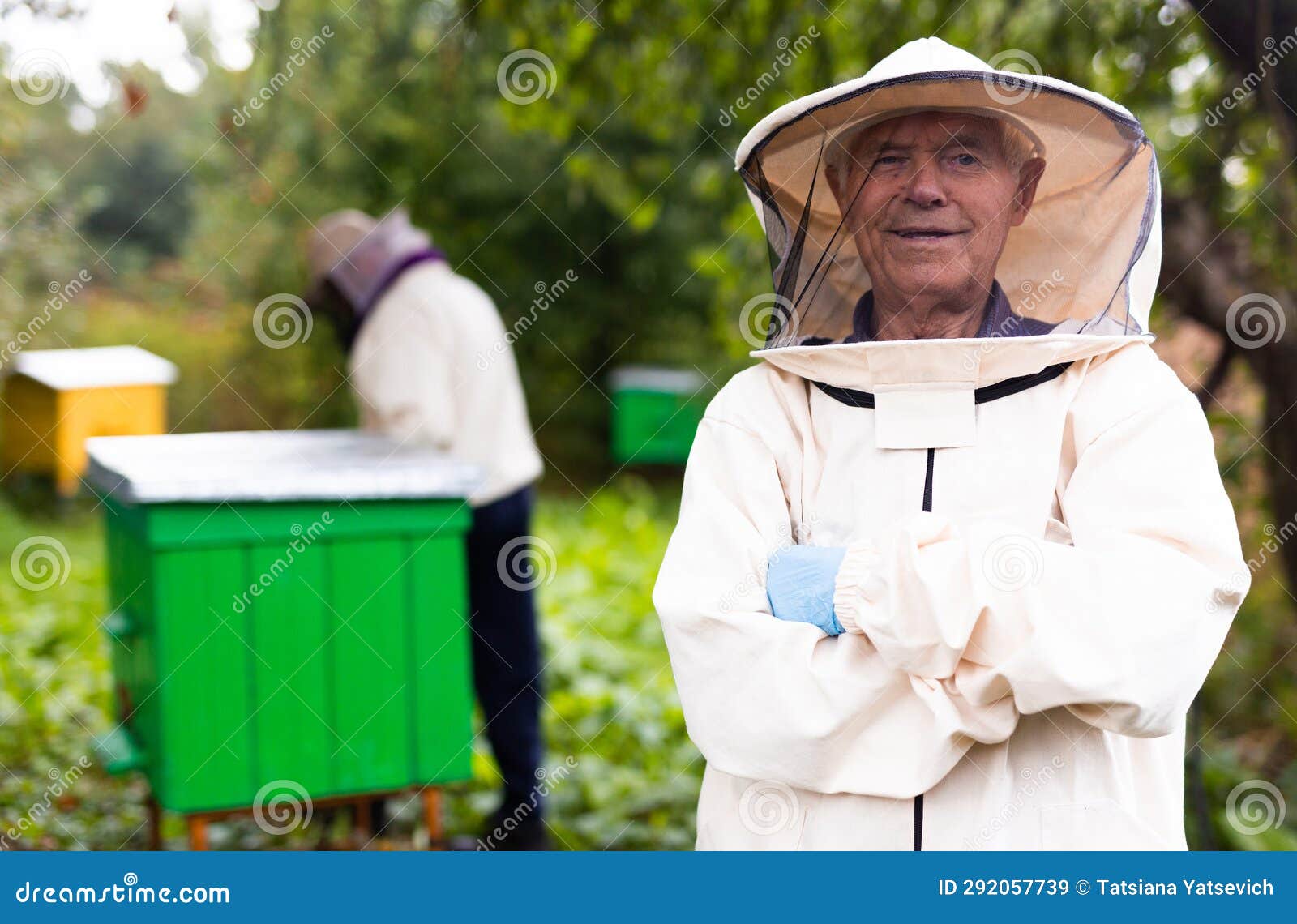 Beekeeper on Apiary. Beekeeper is Working with Bees and Beehives on ...