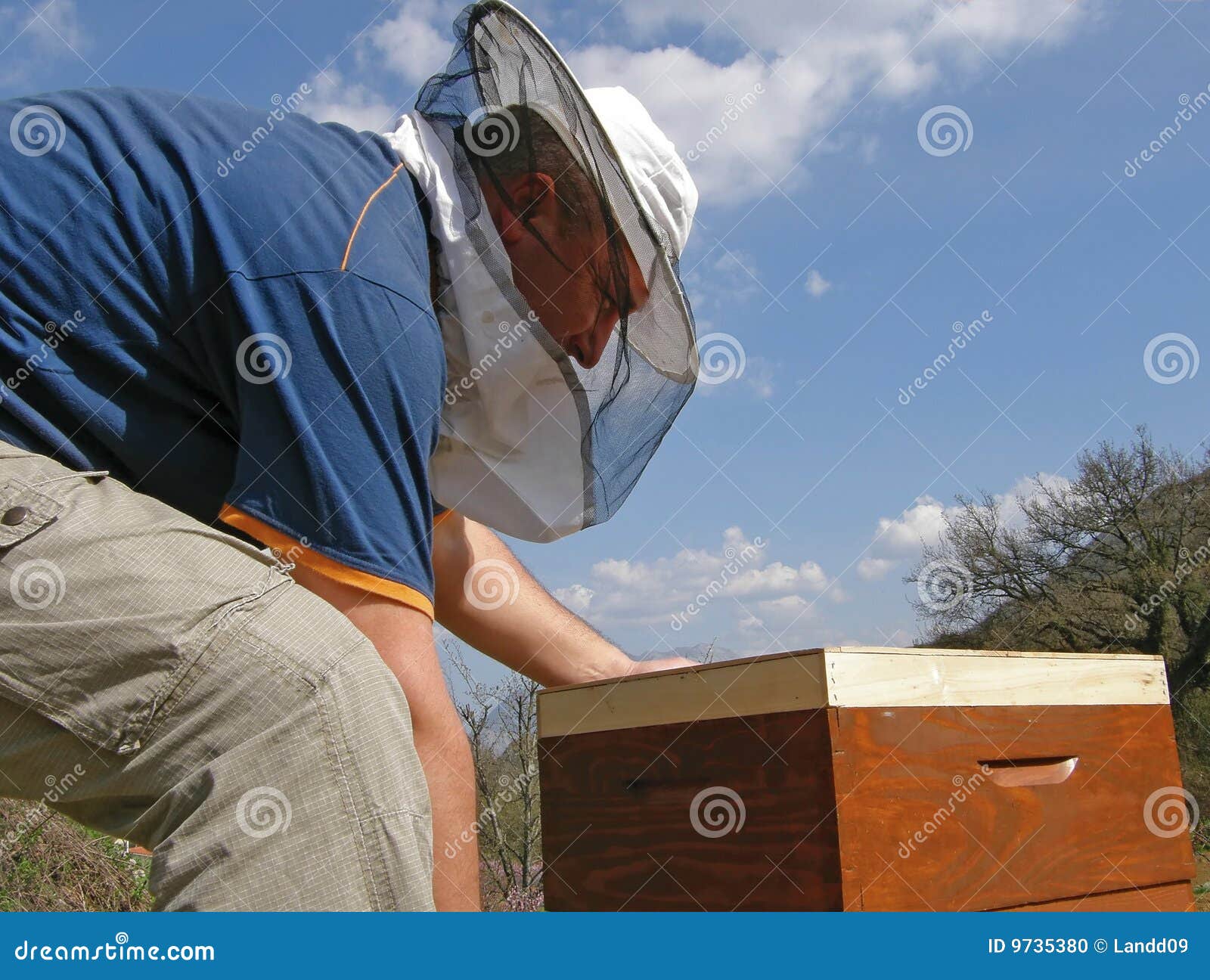Beekeeper with bee stock photo. Image of nature, leaf - 9735380