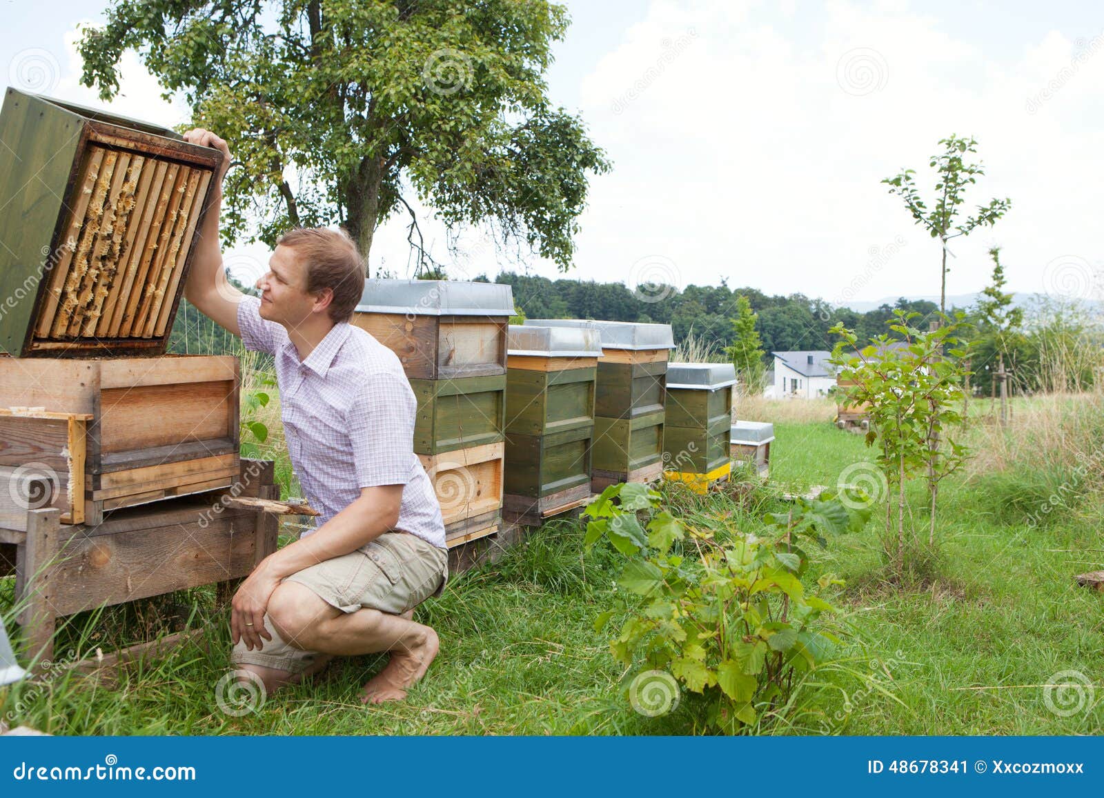 Beekeeper and beehive stock image. Image of house, summer - 48678341