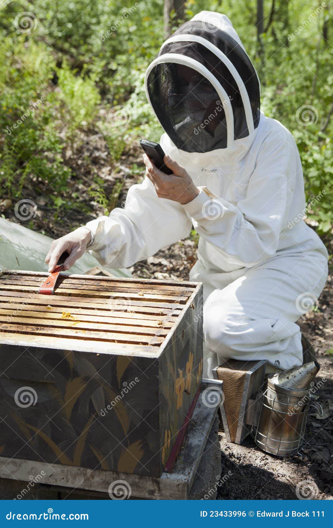Beekeeper with cell phone stock photo. Image of beekeeping - 23433996