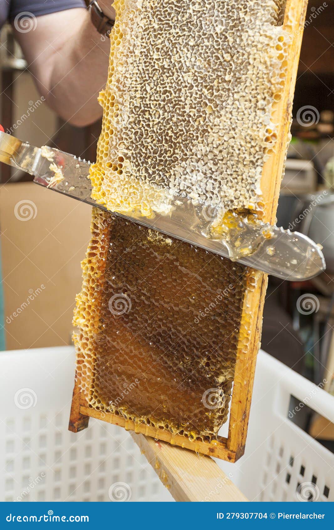 Beekeeper Collects the Honey. Close-up Beekeeper Uncapping Honeycomb ...