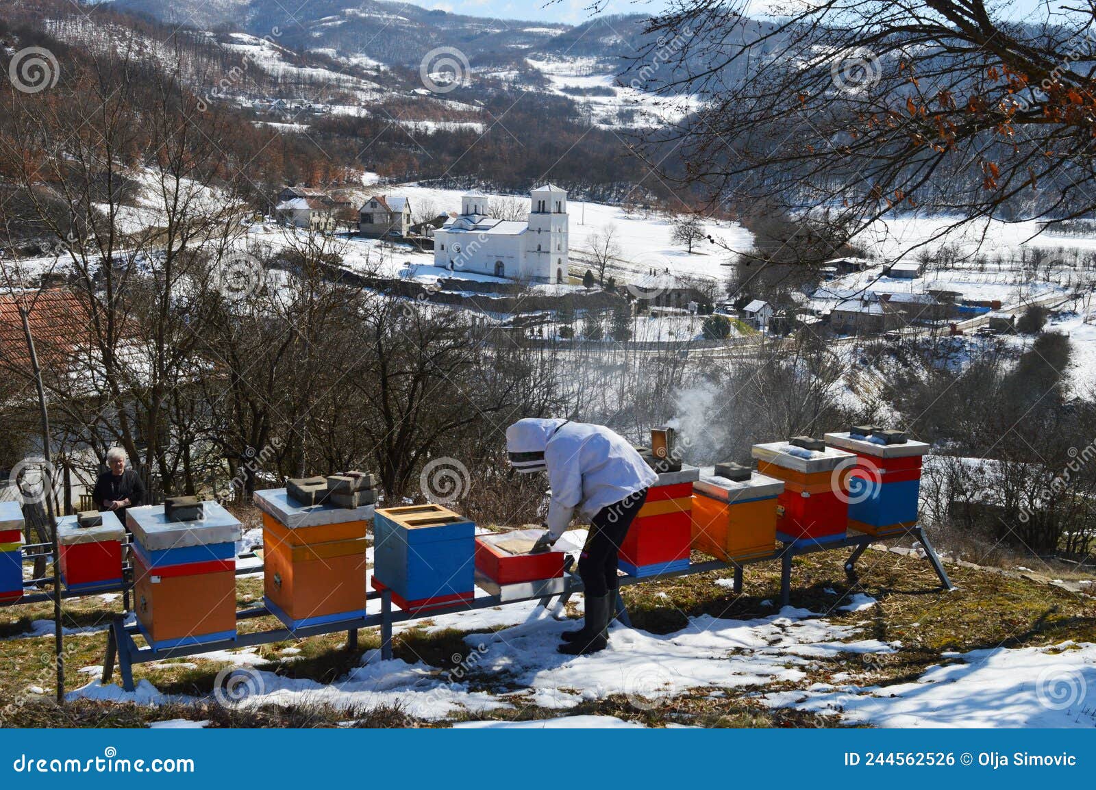 Beekeeper in a Colorful Apiary in Winter Stock Photo - Image of cold ...
