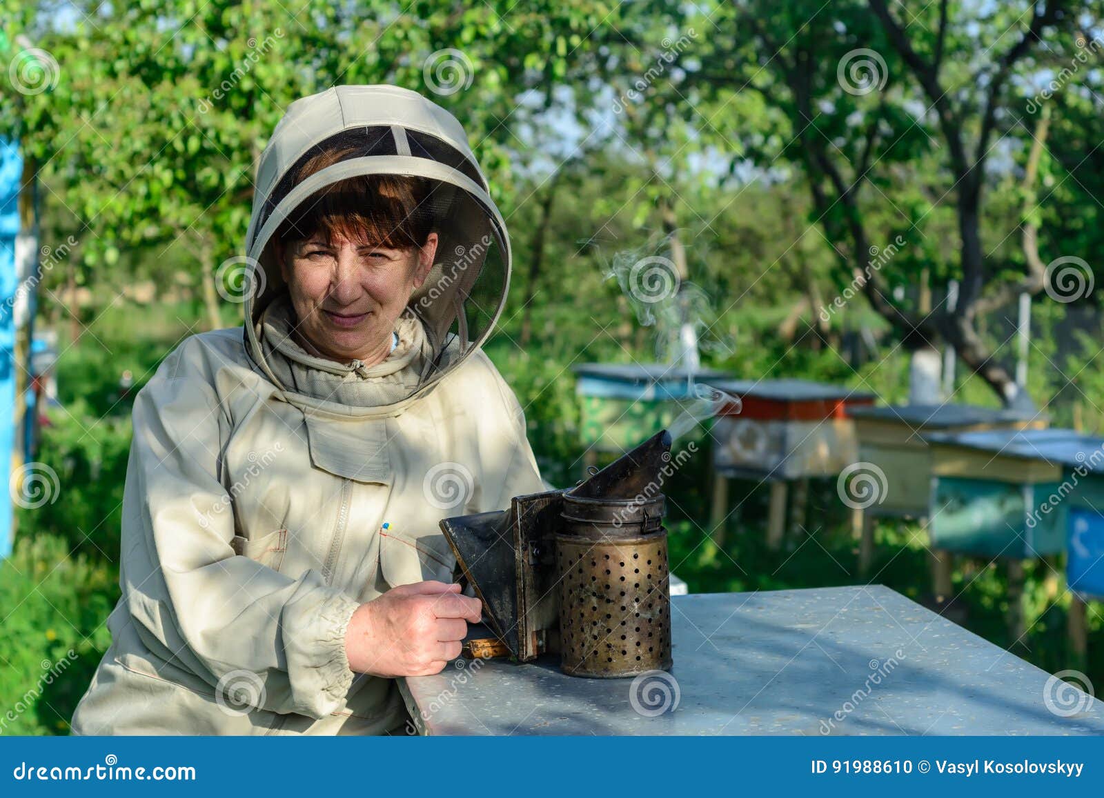 Beekeeper Controlling Beehive and Comb Frame. Apiculture. Stock Photo ...