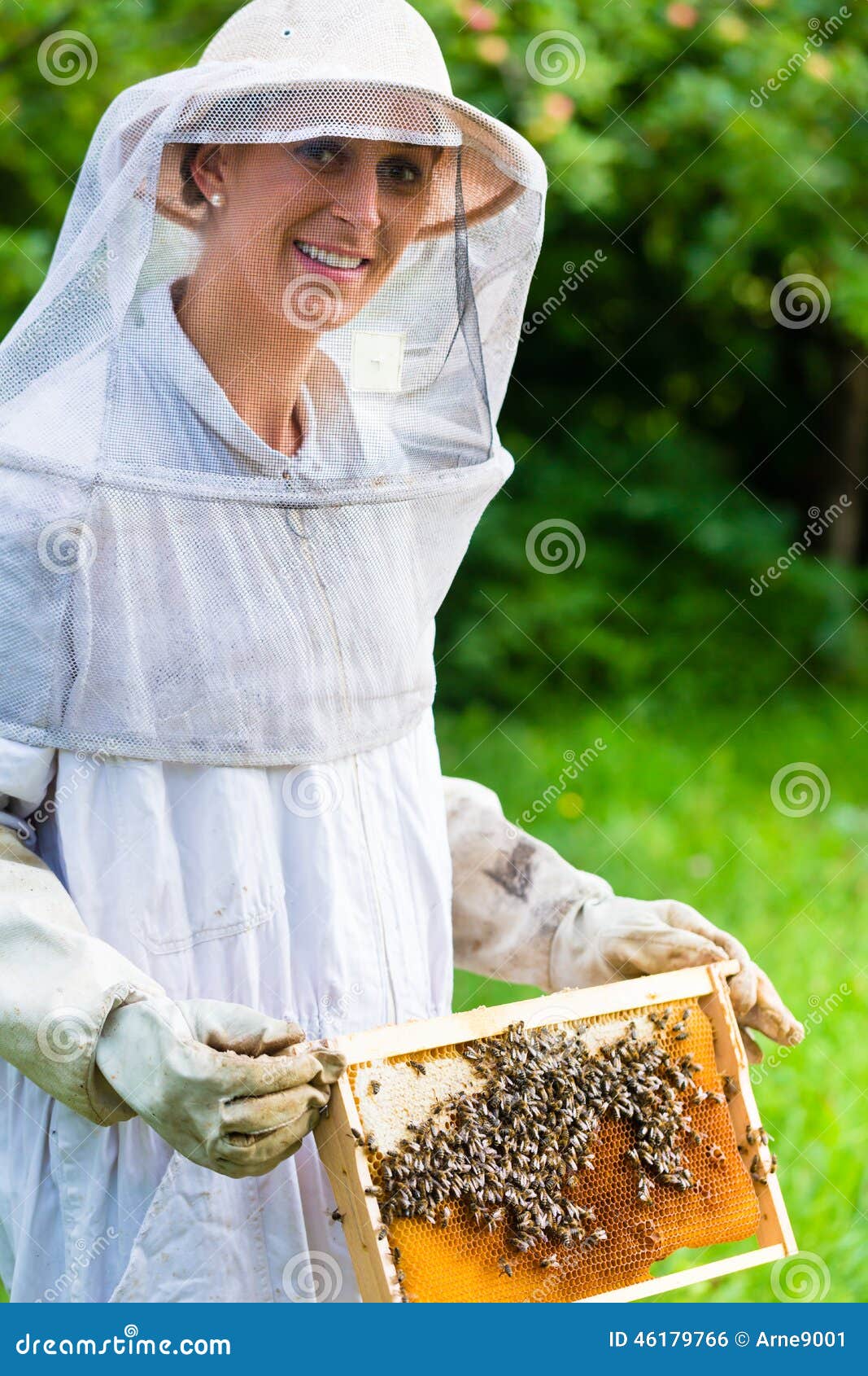 Beekeeper Controlling Beeyard and Bees Stock Photo - Image of outside ...