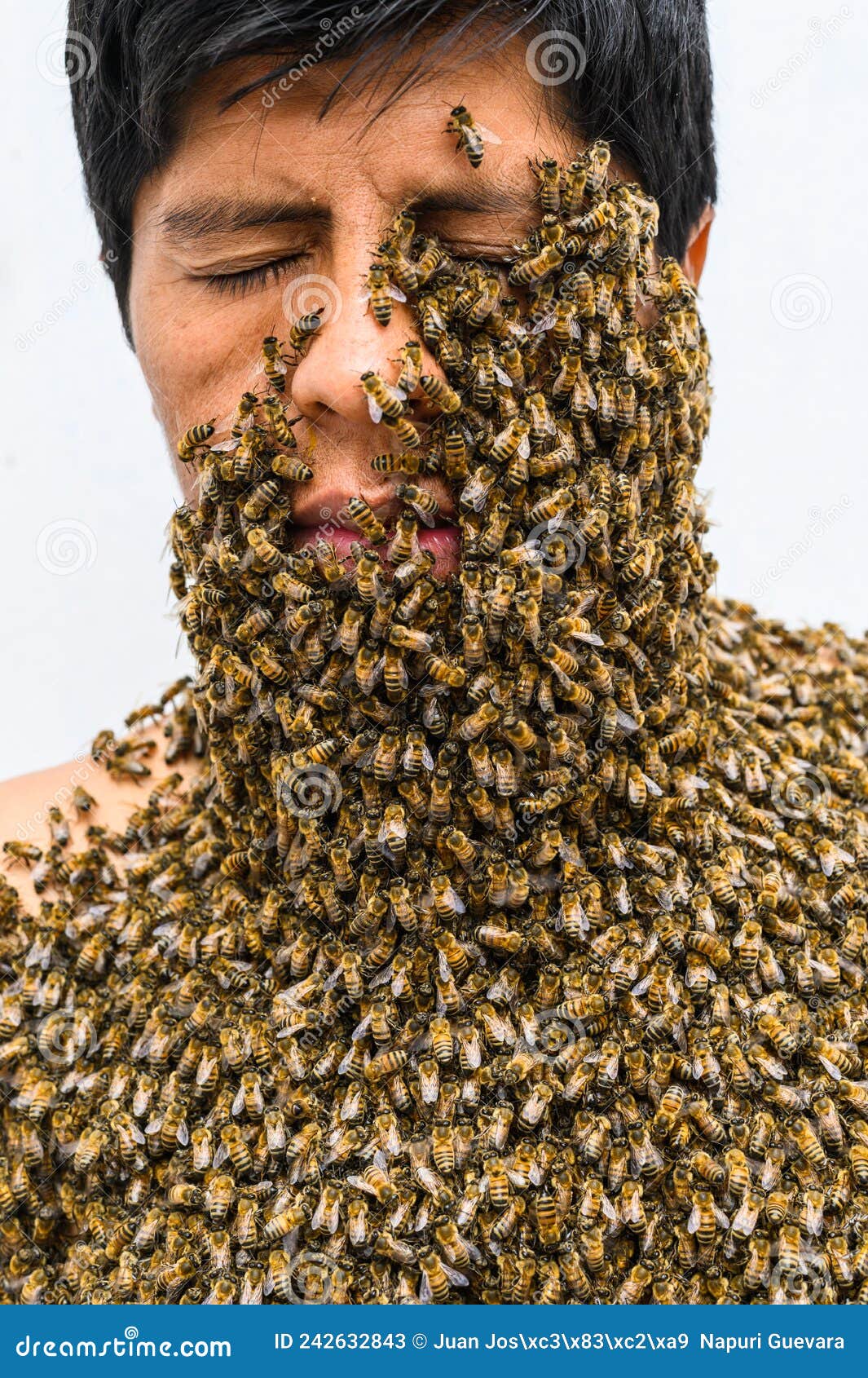 A Beekeeper Covered in Bees, Bee Treatment. Stock Image - Image of ...