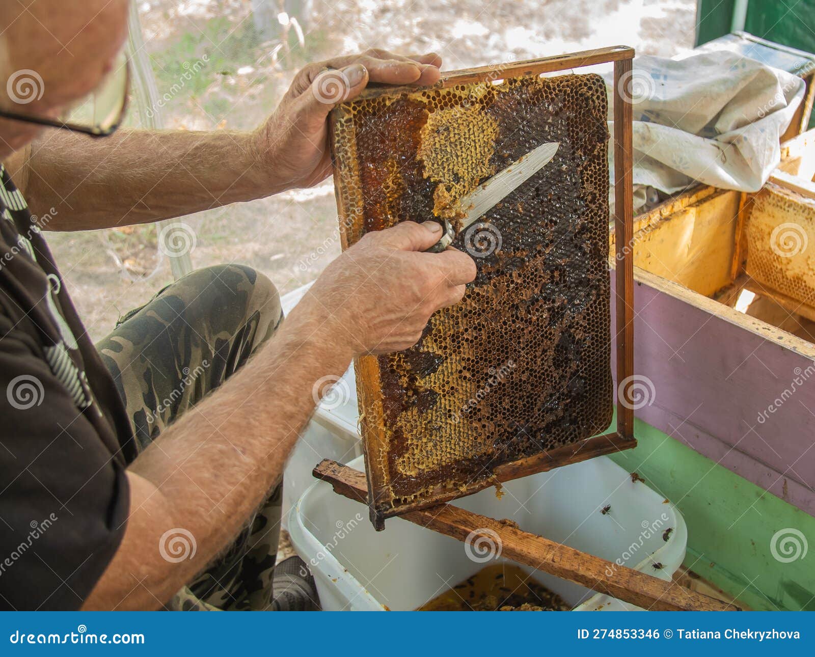 Beekeeper Cuts Off the Wax from Honeycomb Frame. Production of Fresh ...