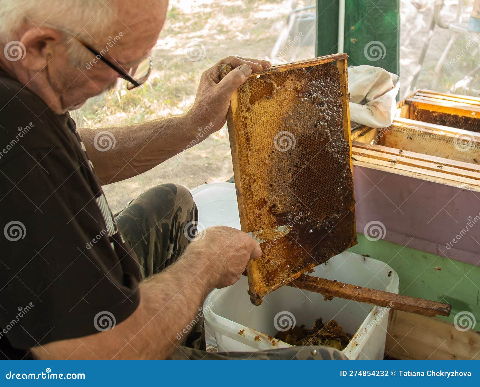 Beekeeper Cuts Off the Wax from Honeycomb Frame. Production of Fresh ...