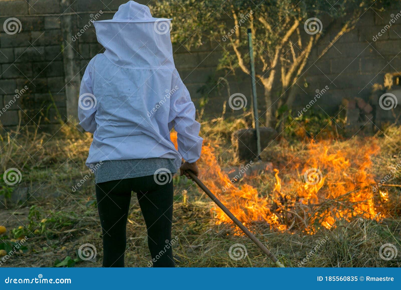 Beekeeper with Fire To Make Smoke Stock Image - Image of bees ...