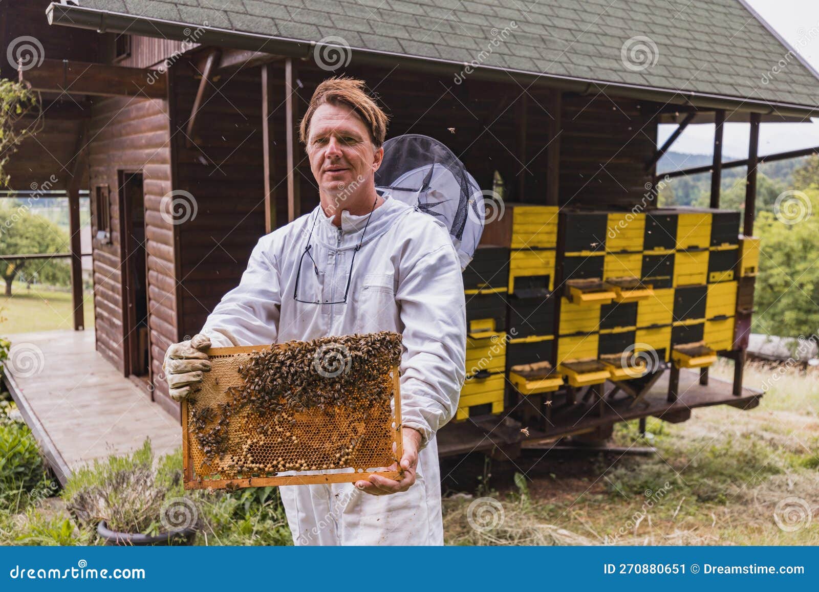 Beekeeper in Front of Beehive Boxes, Holding a Frame with Comb and Bees ...