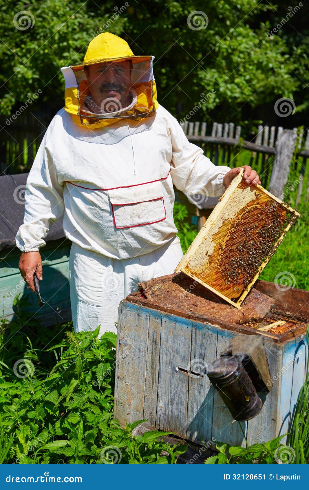 Beekeeper stock image. Image of farm, keeper, honey, nature - 32120651