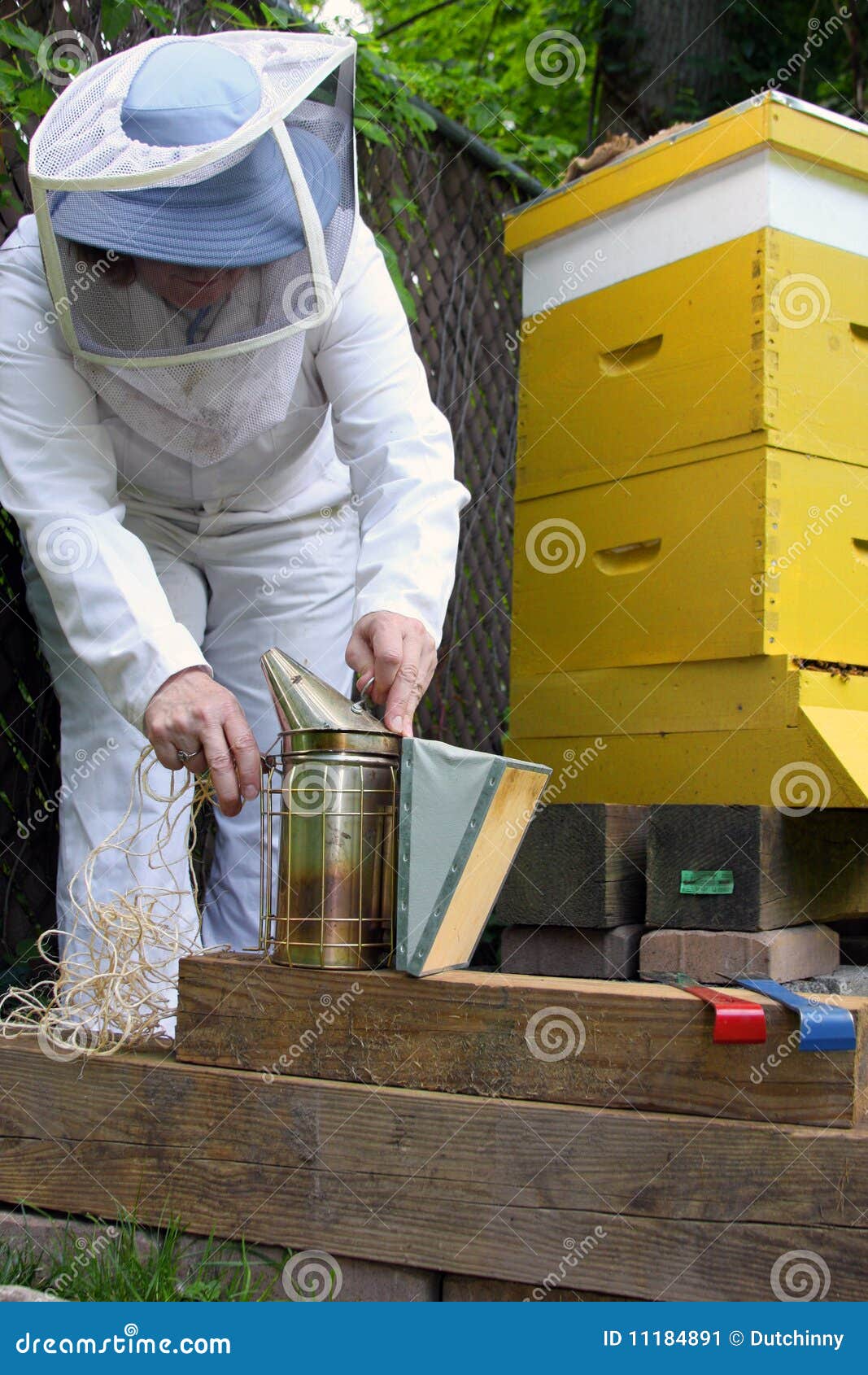 Beekeeper and hive stock image. Image of outdoor, colourful - 11184891