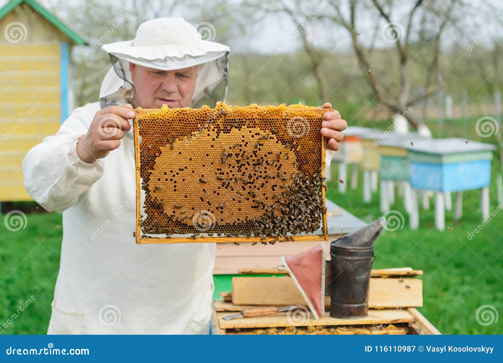 Beekeeper Holding a Honeycomb Full of Bees. Beekeeper in Protective ... Beekeeper Holding a Honeycomb Full of Bees. Beekeeper in Protective ...