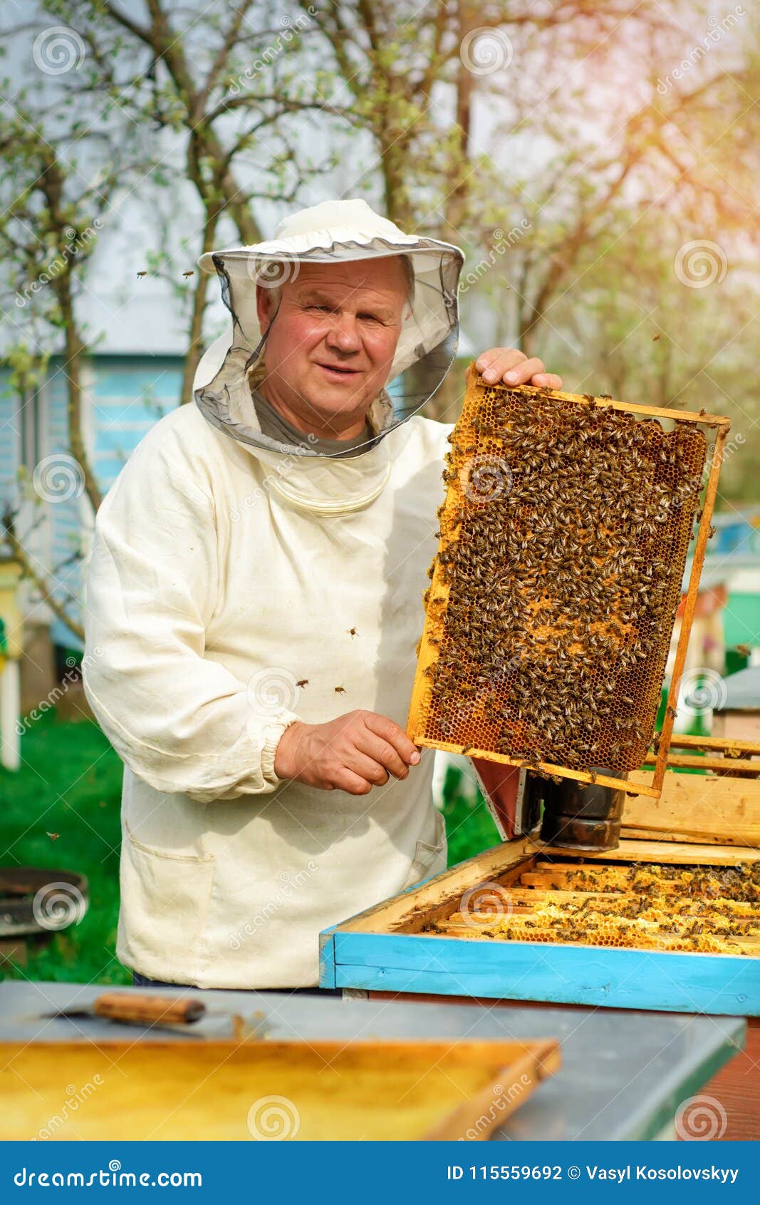 Beekeeper Holding a Honeycomb Full of Bees. Beekeeper in Protective ... Beekeeper Holding a Honeycomb Full of Bees. Beekeeper in Protective ...