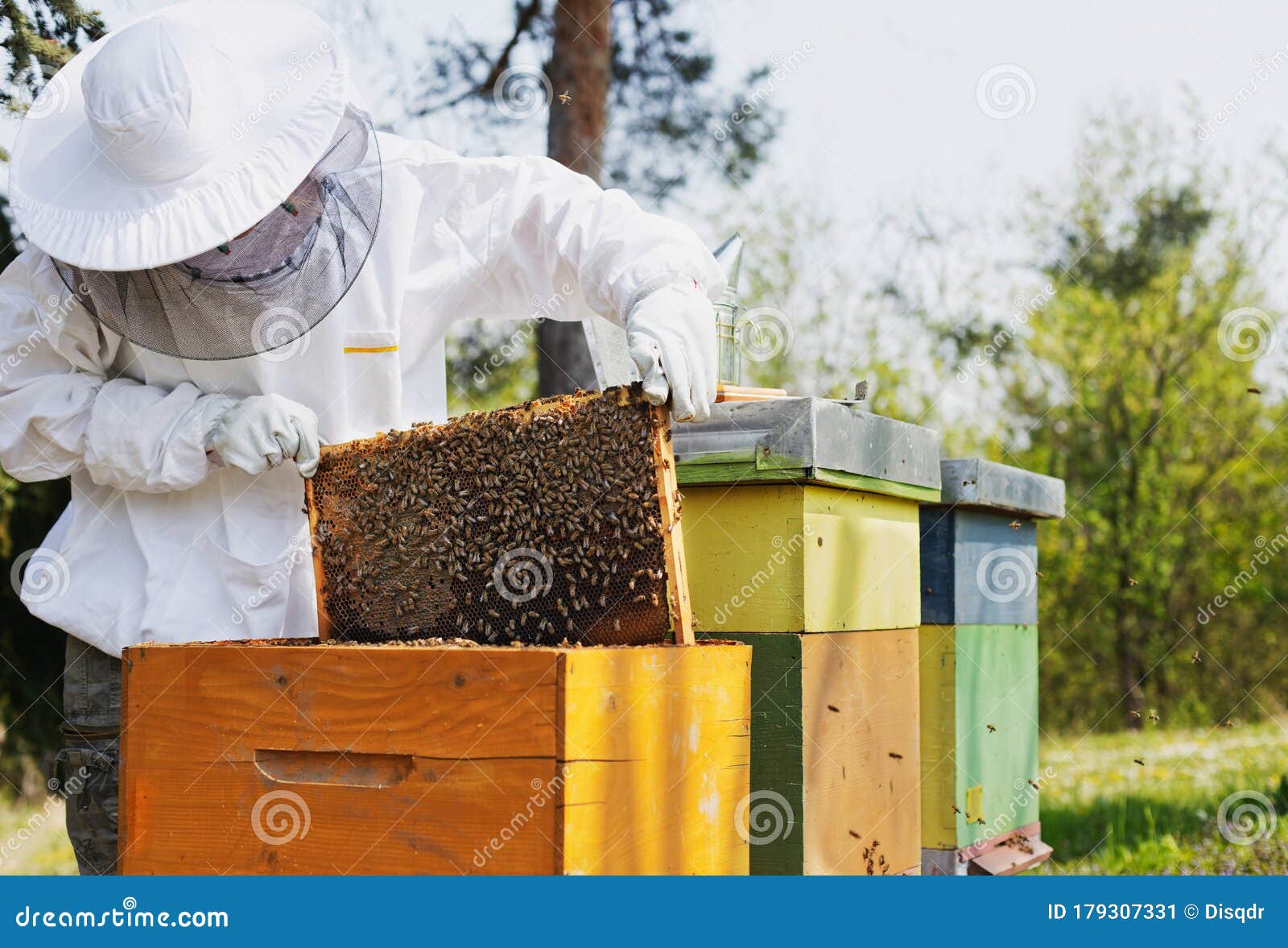 Beekeeper, Woman And Protective Suit In Portrait, Happy And Outddor ...