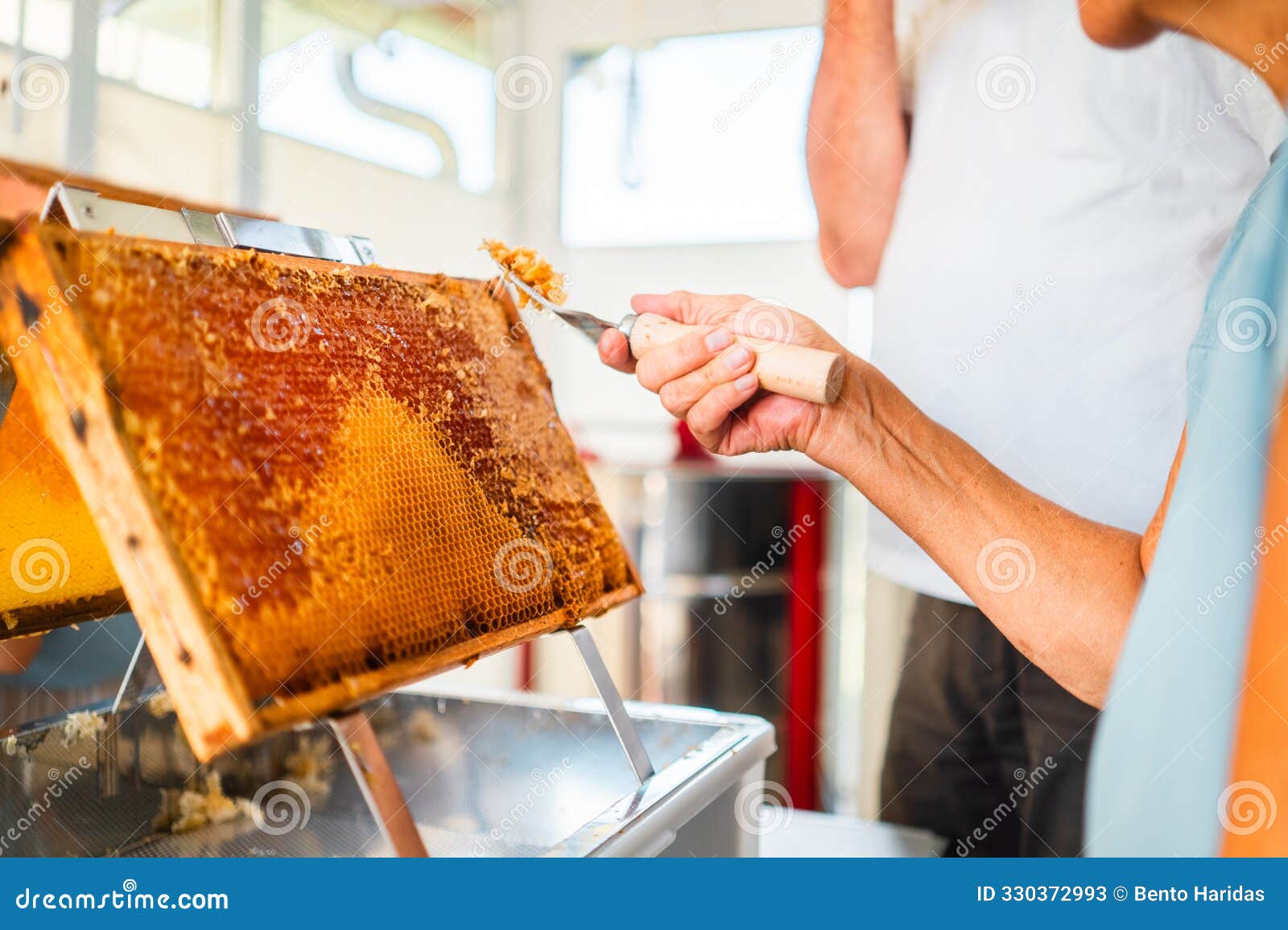 Hand of a Beekeeper with Honycomb Capping Scratcher Uncapping Beehive ...