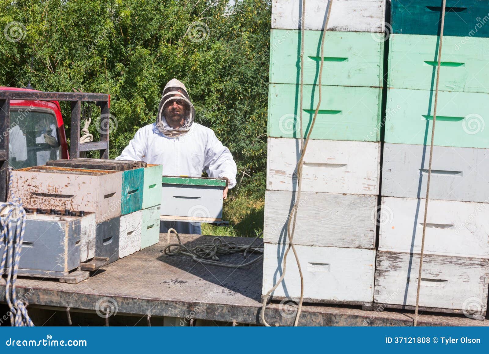 Beekeeper Loading Honeycomb Crate in Truck Stock Photo - Image of ...