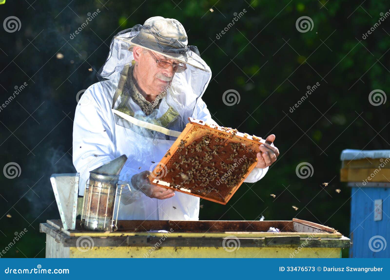 Beekeeper Making Inspection in Apiary Stock Image - Image of comb ...