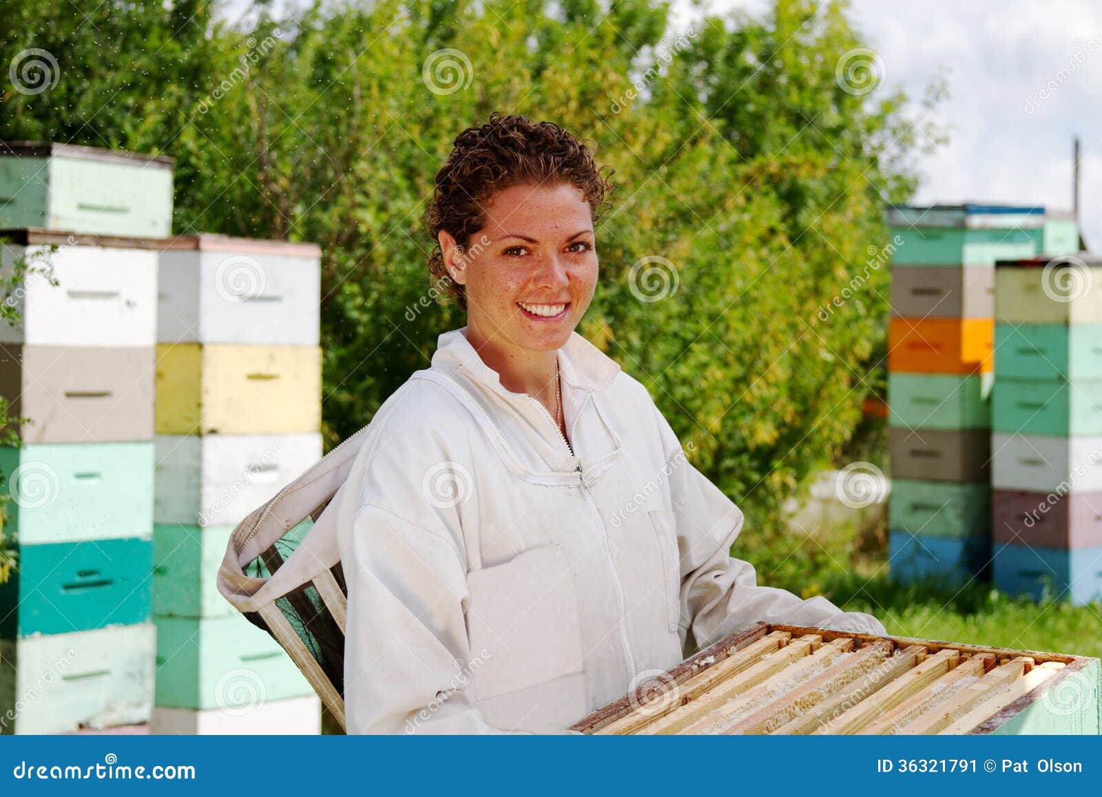Beekeeper Moving Beehives Boxes Stock Image - Image of person, hive ...
