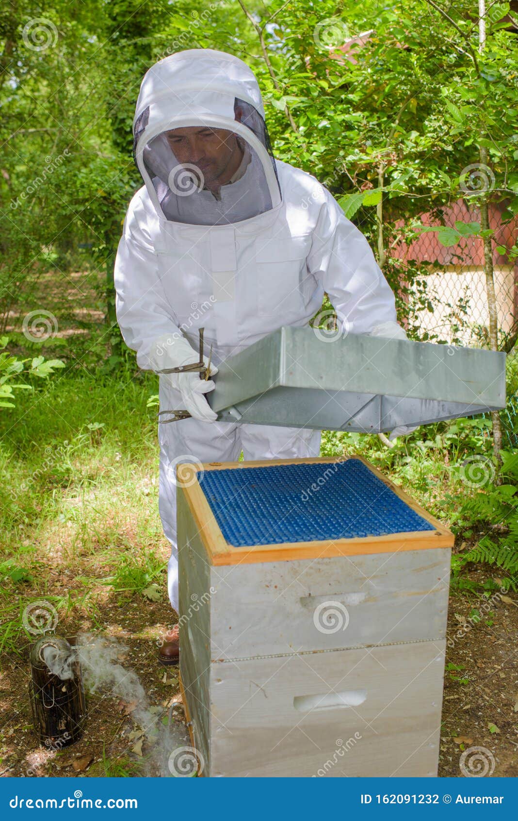 Beekeeper opening hive stock photo. Image of farm, beekeeping - 162091232