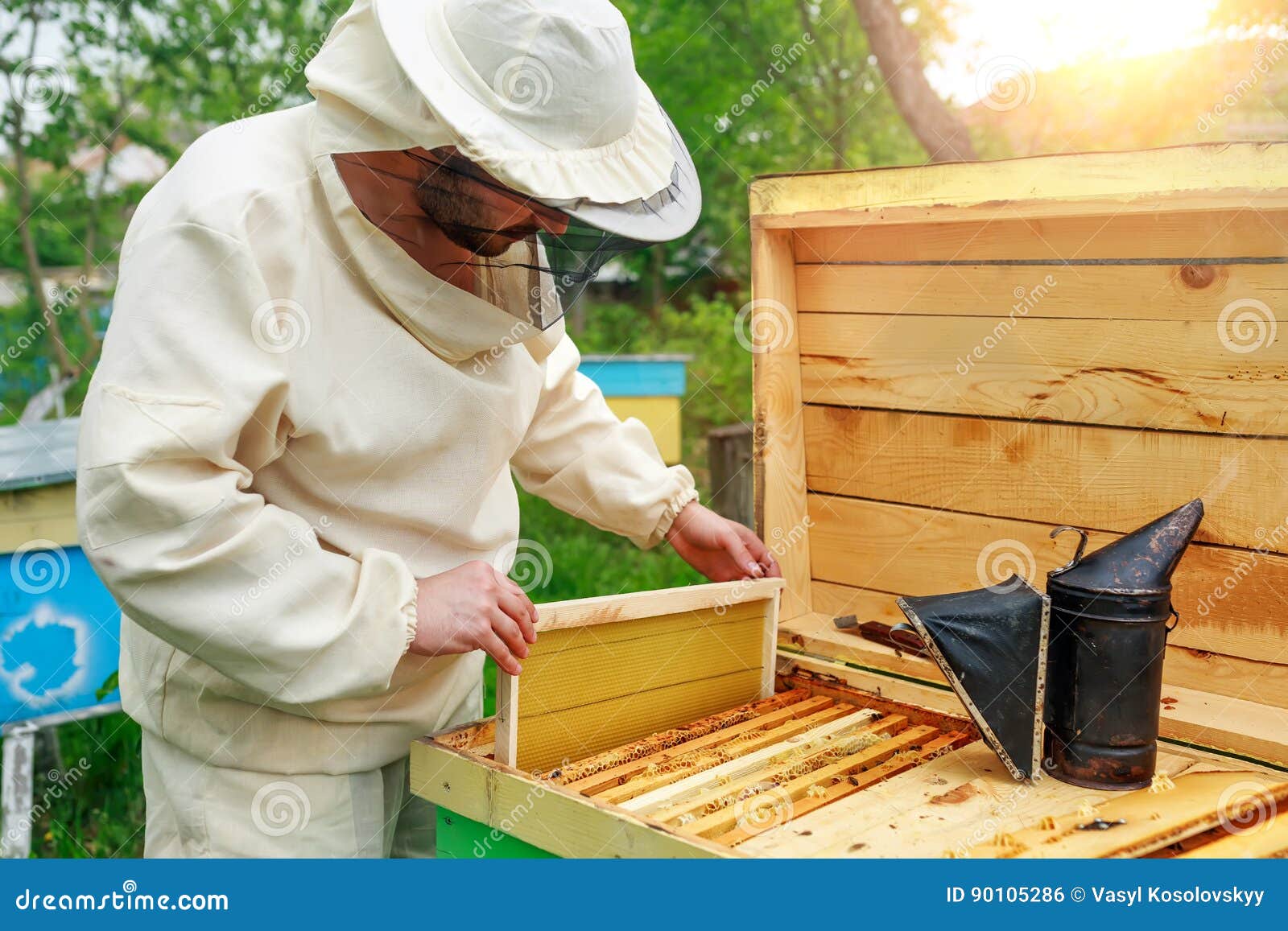 The Beekeeper Places the Hive a New Framework for Honey. Honeycomb ...