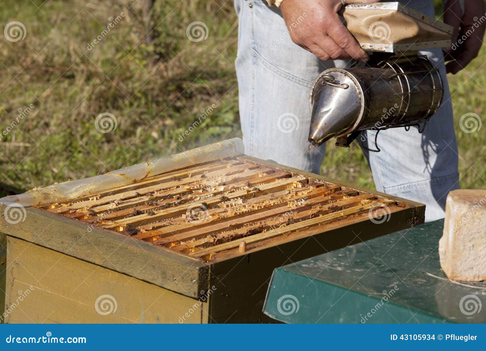 Beekeeper with smoker stock photo. Image of nature, hives - 43105934