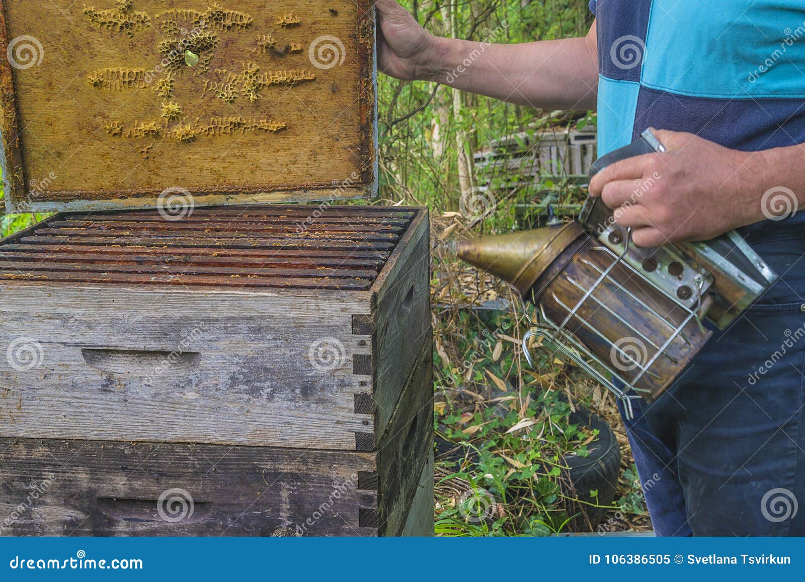 Beekeeper With Smoker Controlling Beeyard And Bees Stock Photography ...