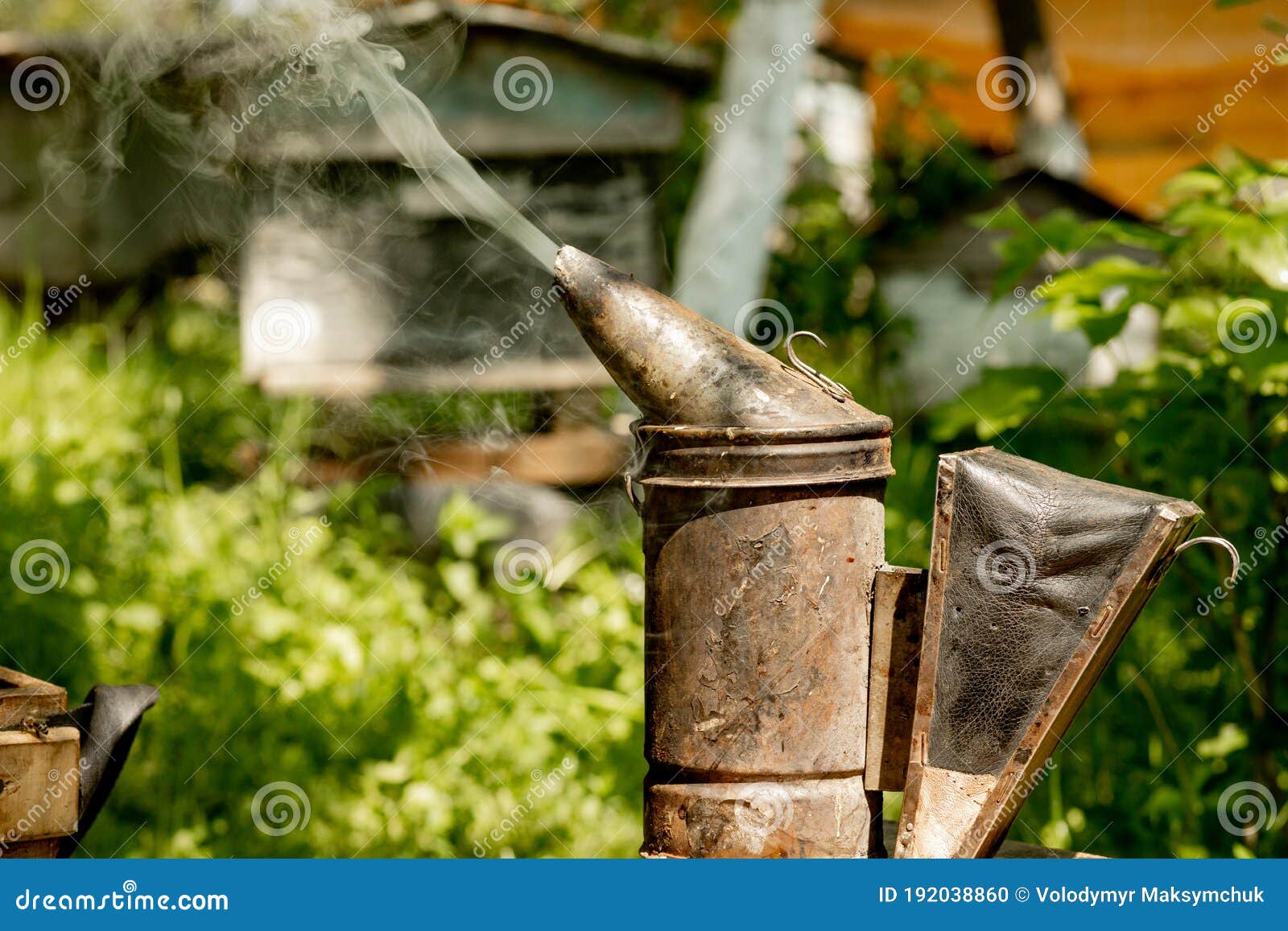 Beekeeper With Smoker Controlling Beeyard And Bees Stock Photography ...