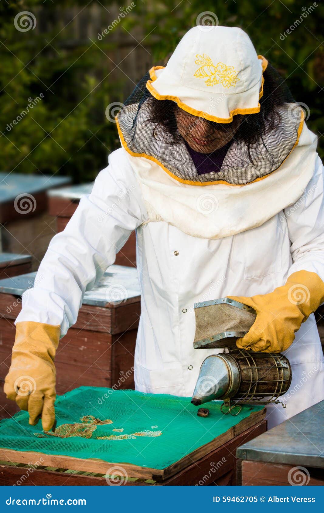 Beekeeper with smoker stock image. Image of honeycomb - 59462705